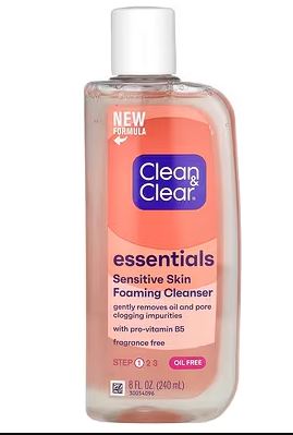 Clean & Clear Essentials Foaming Facial Cleanser, 8 oz Wholesale ...